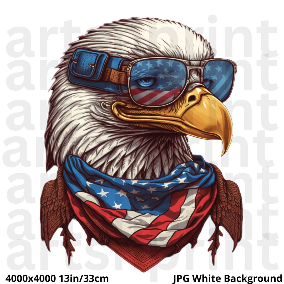 Bald Eagle Png, Cool Eagle Shirt Design, USA Cool Eagle, American Bald ...