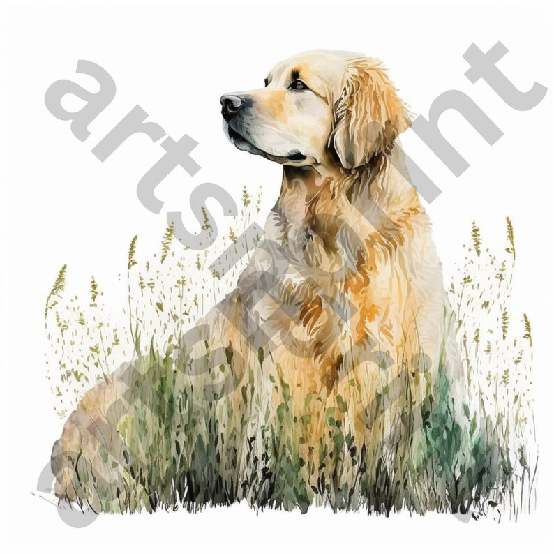 Golden Retriever Png, Clipart, 5 Pack, 300 Dpi, Sublimation Design ...
