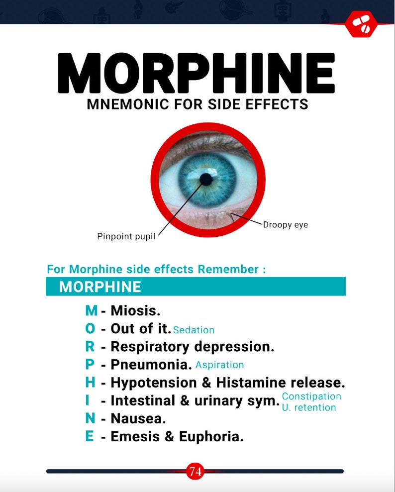 Medical Mnemonics - Etsy