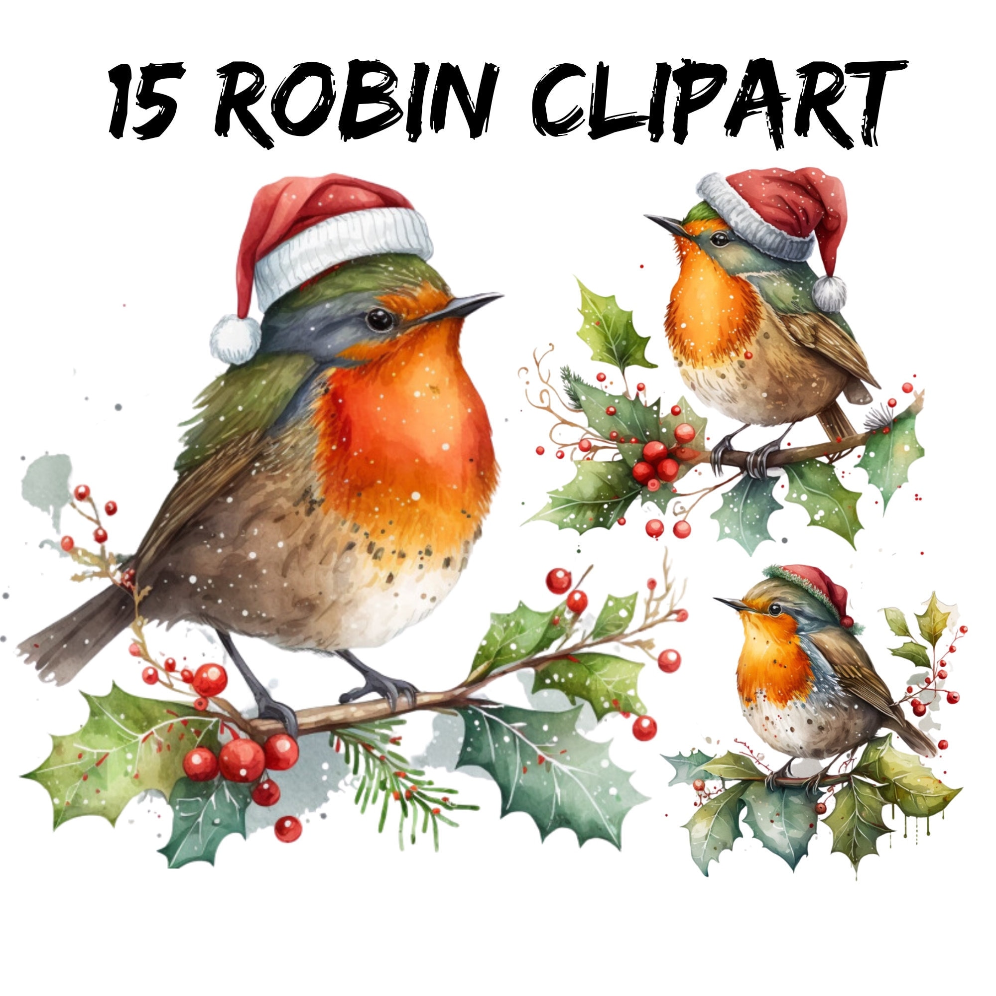 15 Robin Clipart, Robin on Christmas Branch Watercolor, Christmas Robin ...