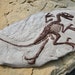 Velociraptor in Matrix - Fossil - Etsy
