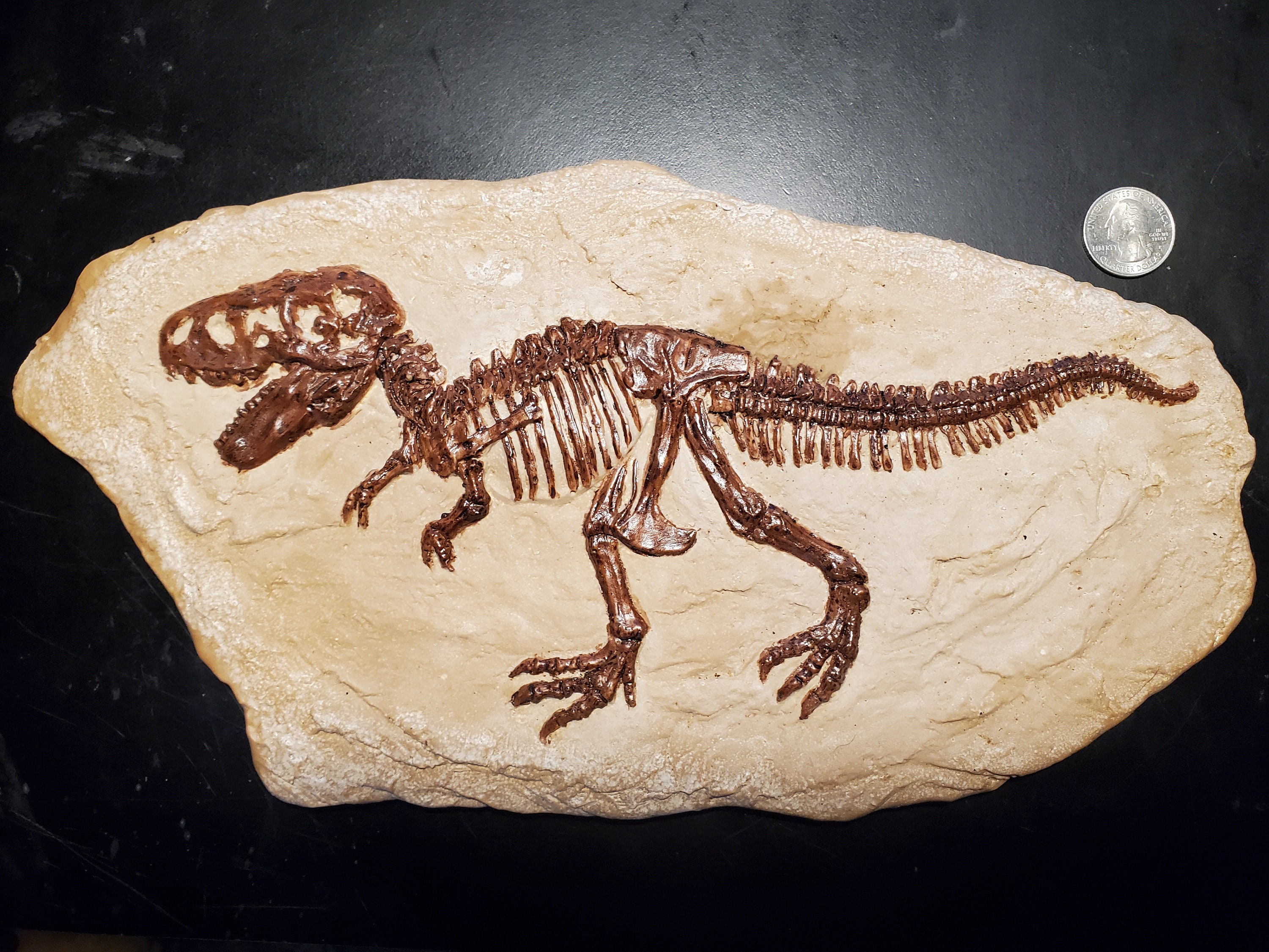 Tyrannosaurus Rex in Matrix - Fossil - Etsy