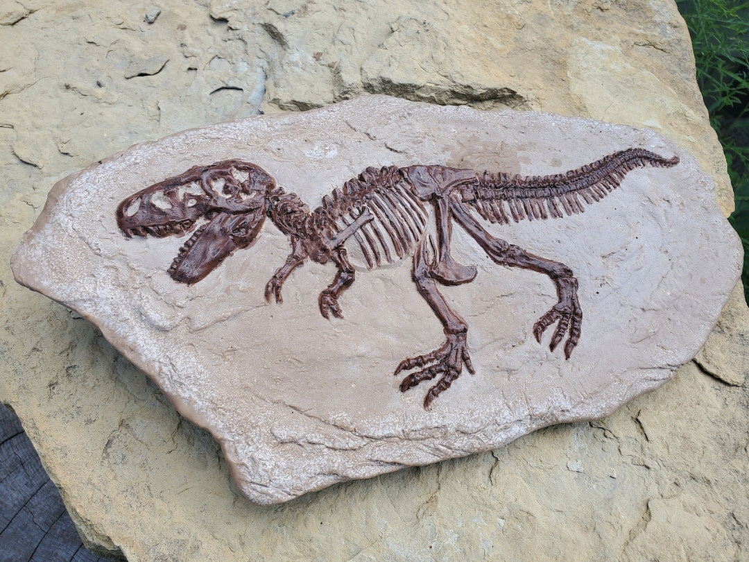 Tyrannosaurus Rex in Matrix - Fossil - Etsy