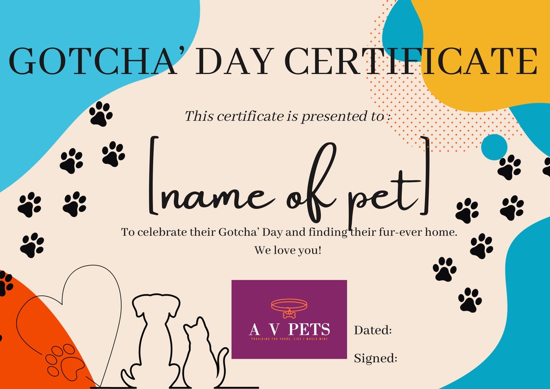 DIGITAL Download Pet Gotcha Day Certificate canva - Etsy