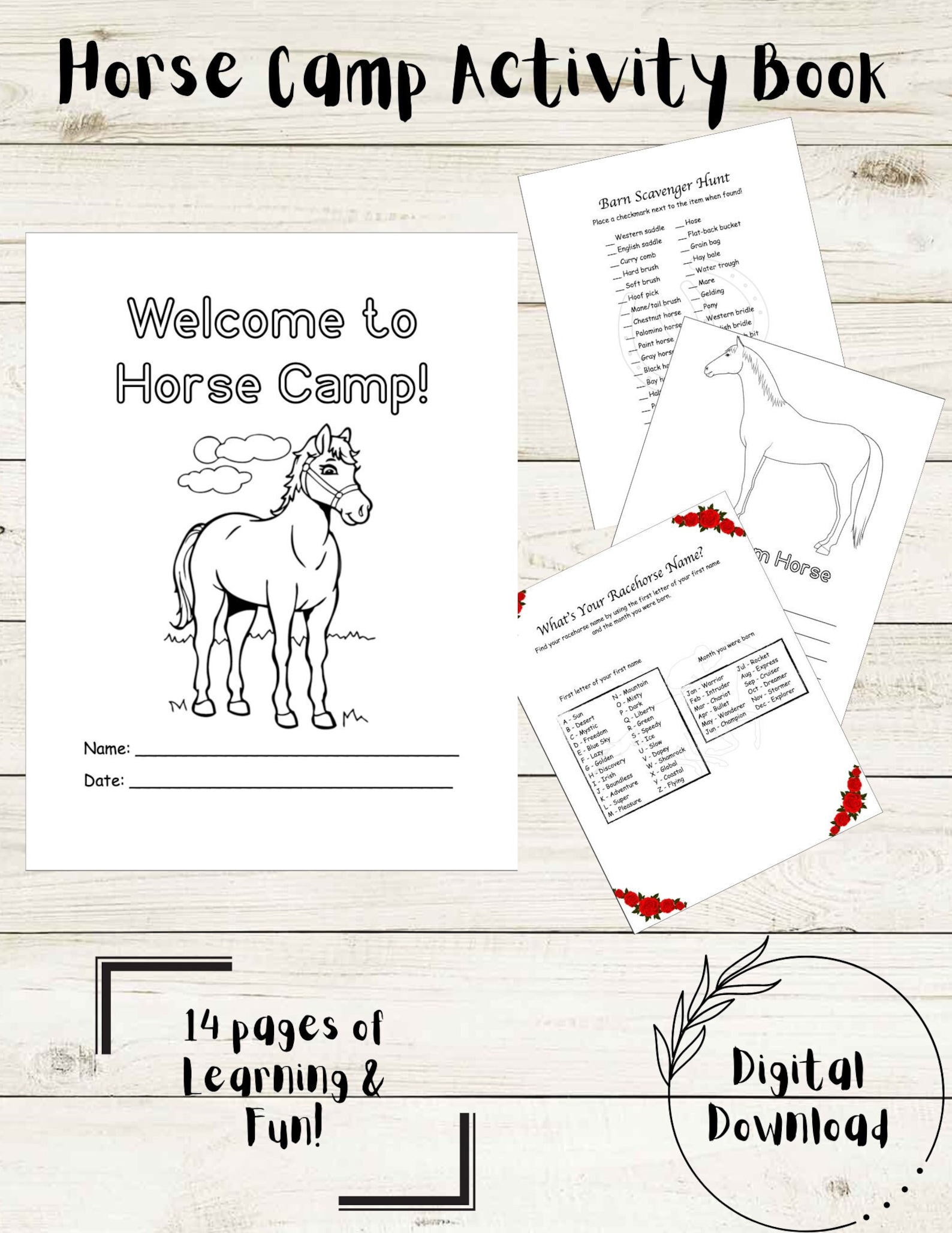 Horse Camp Activity Book - Etsy
