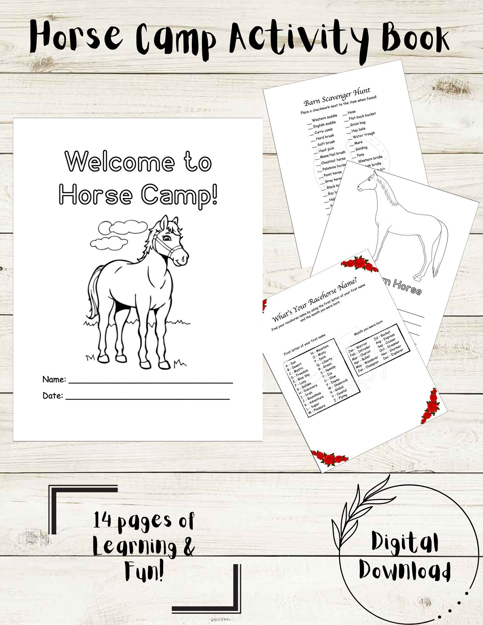 Horse Camp Activity Book - Etsy