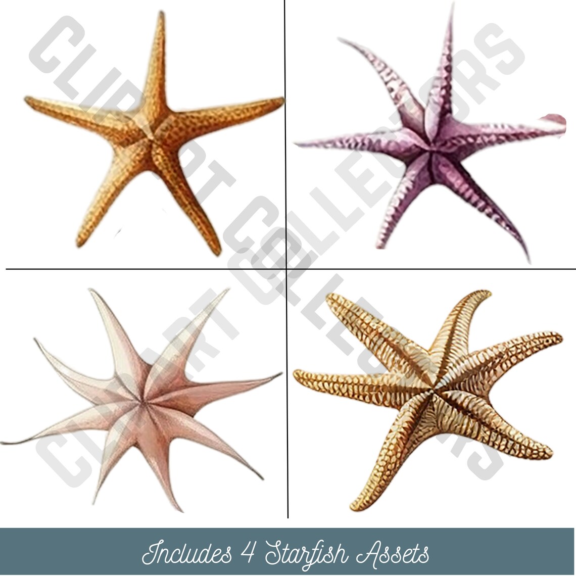 Watercolor Clipart - Ocean Clipart - Sea Shells - Ocean Graphics ...