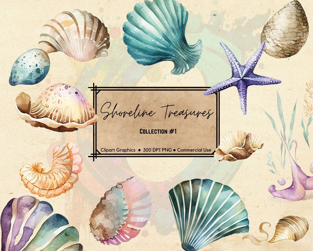 Watercolor Clipart - Ocean Clipart - Sea Shells - Ocean Graphics ...