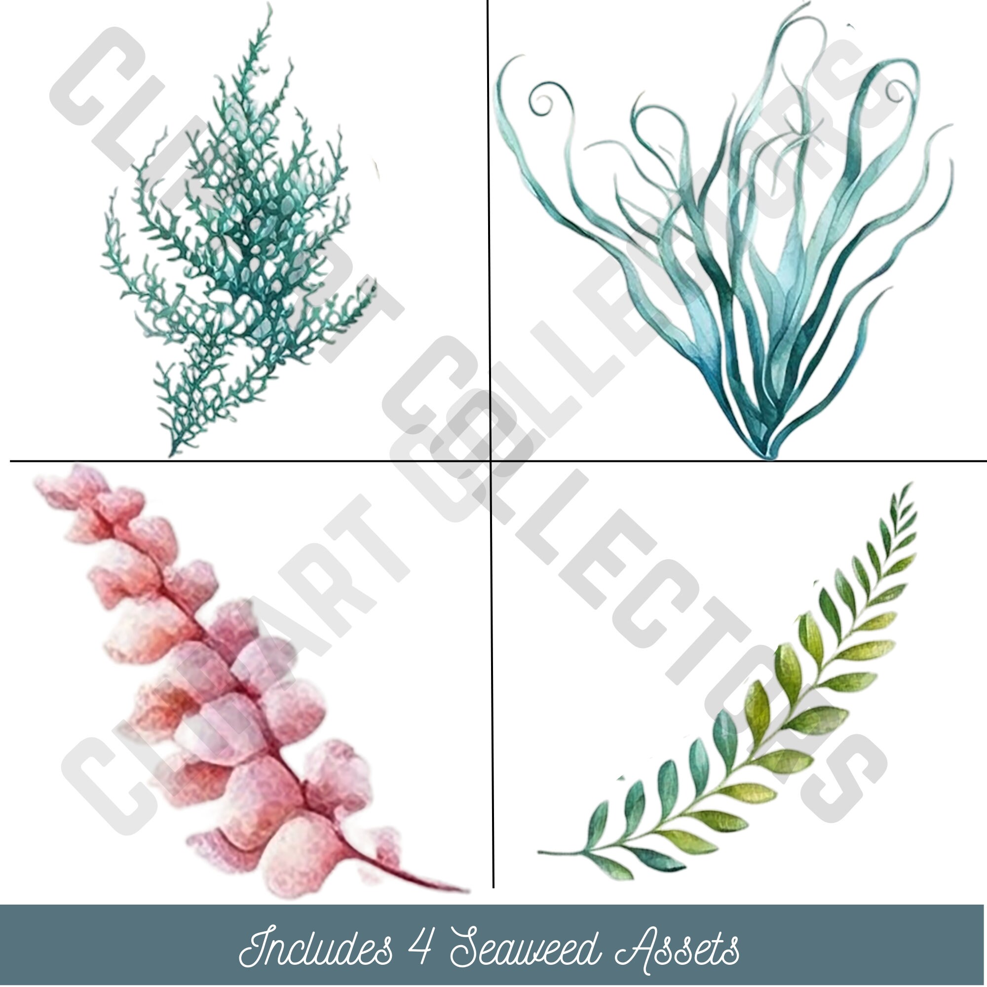 Watercolor Clipart - Ocean Clipart - Sea Shells - Ocean Graphics ...