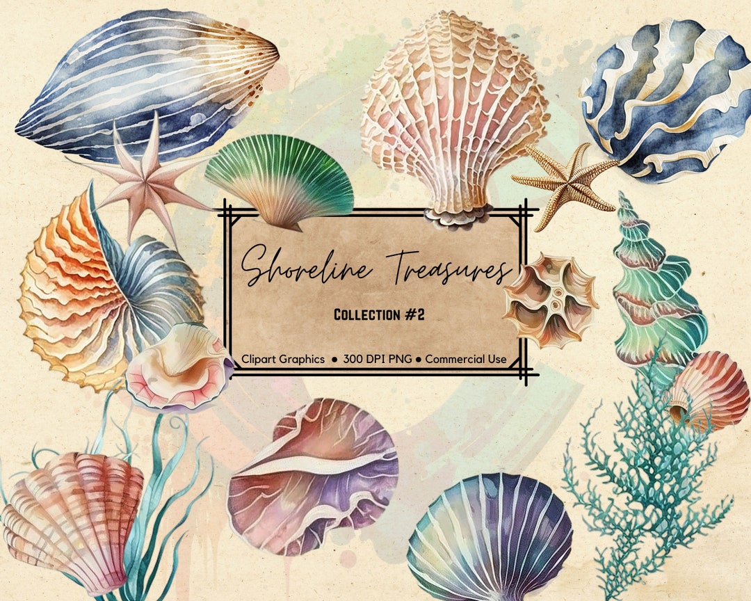 Watercolor Clipart - Ocean Clipart - Sea Shells - Ocean Graphics ...