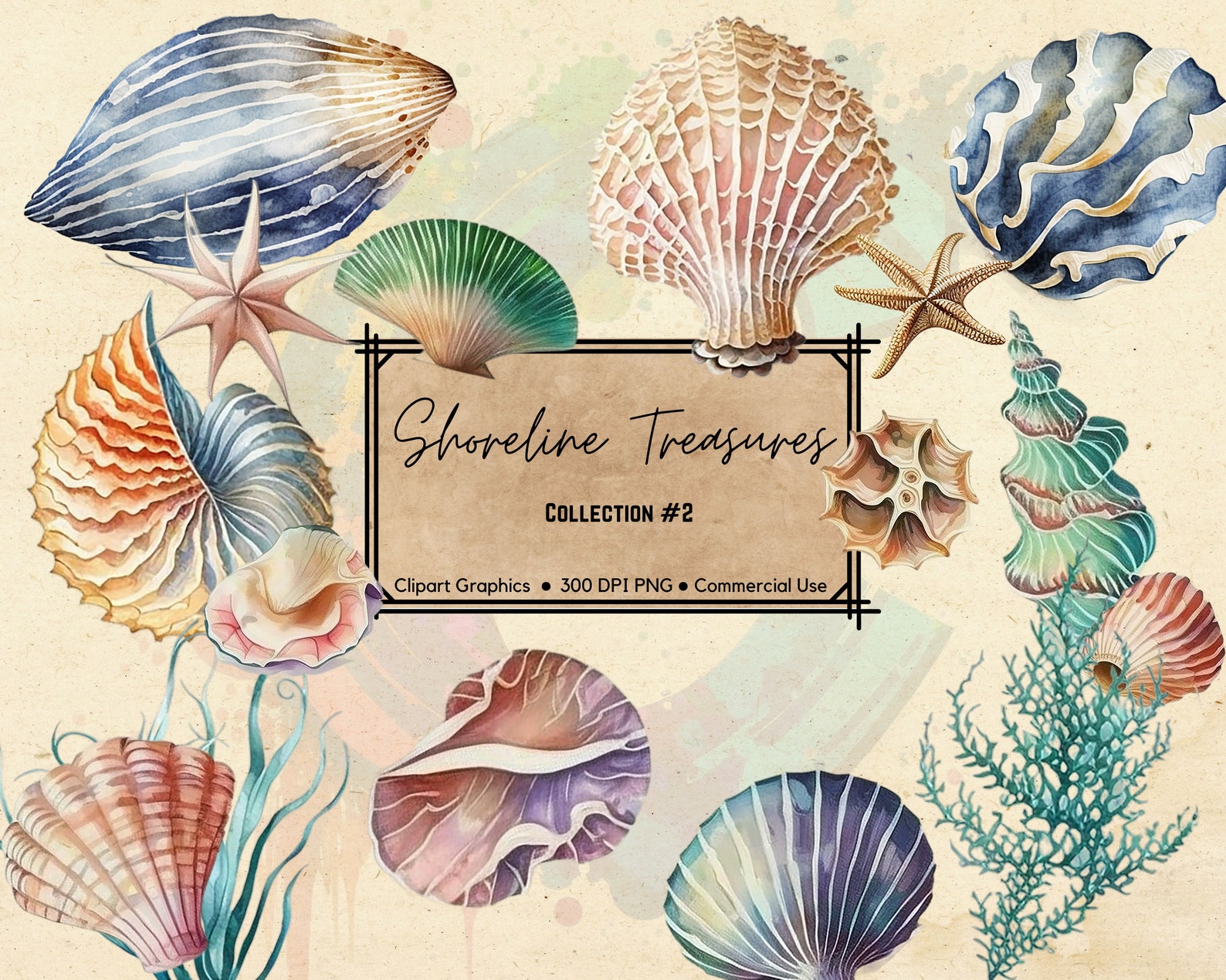 Watercolor Clipart - Ocean Clipart - Sea Shells - Ocean Graphics ...