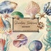 Watercolor Clipart - Ocean Clipart - Sea Shells - Ocean Graphics ...