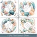 Watercolor Clipart Ocean Clipart Sea Shells Ocean Graphics Coral ...