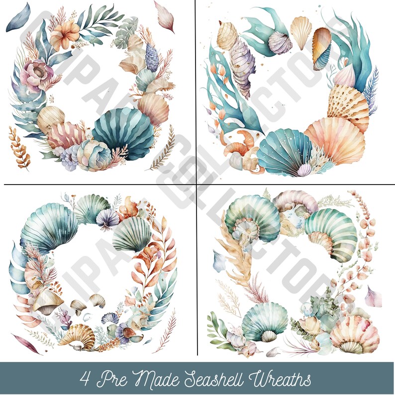 Watercolor Clipart - Ocean Clipart - Sea Shells - Ocean Graphics ...