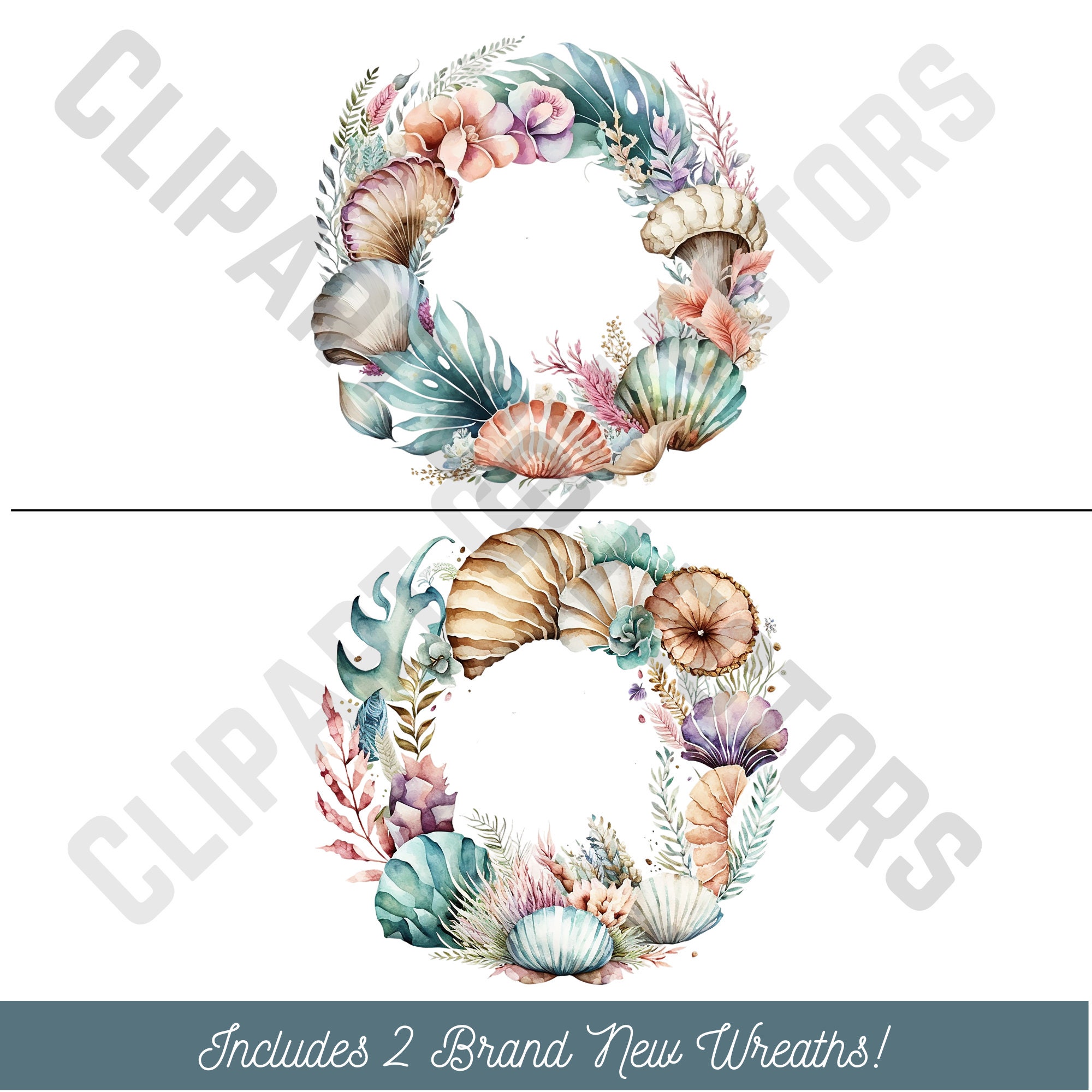 Watercolor Clipart - Ocean Clipart - Sea Shells - Ocean Graphics ...