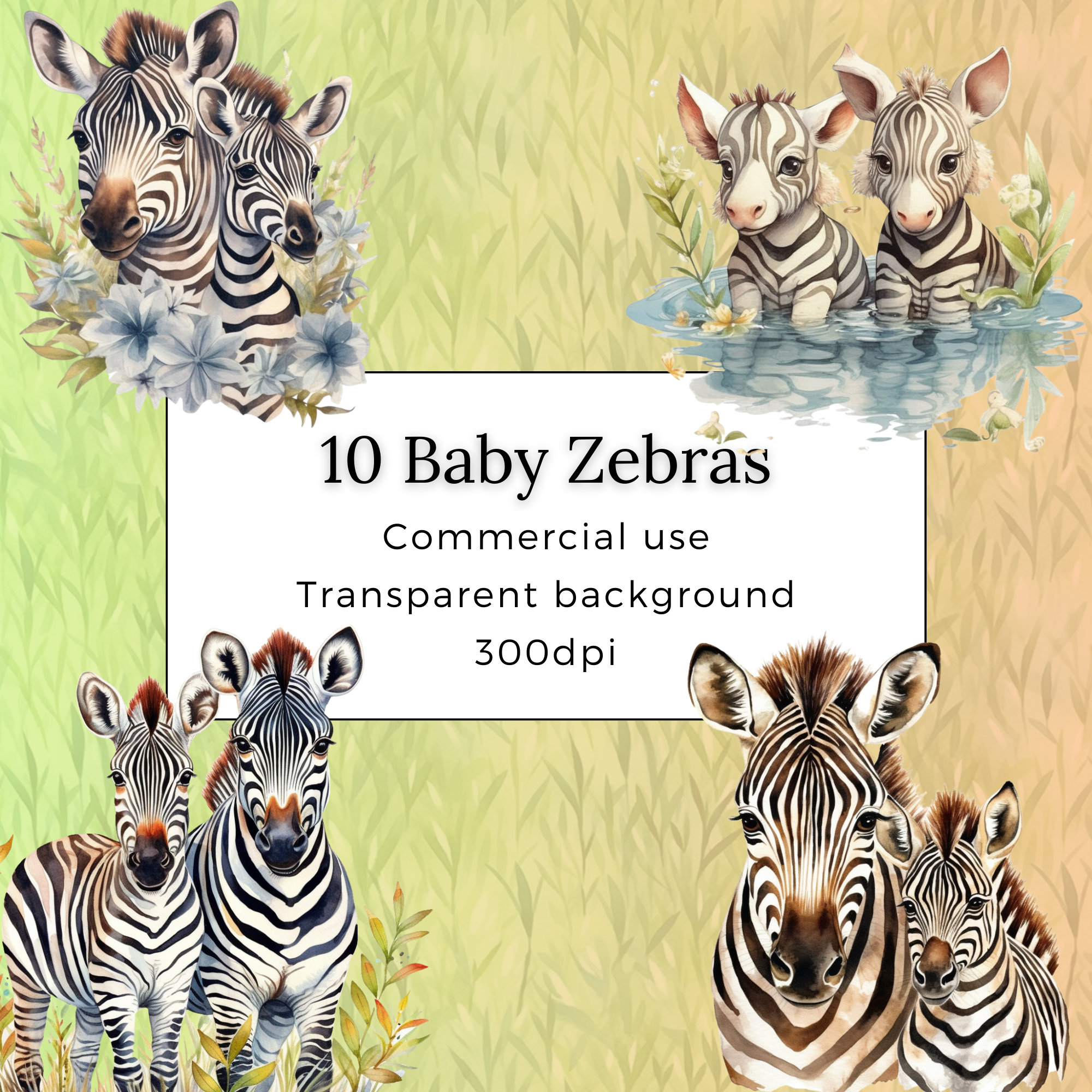 Baby Zebra And Mom Clipart