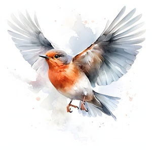 European Robin Clipart 12 High Quality Jpgs Instant Download Card ...