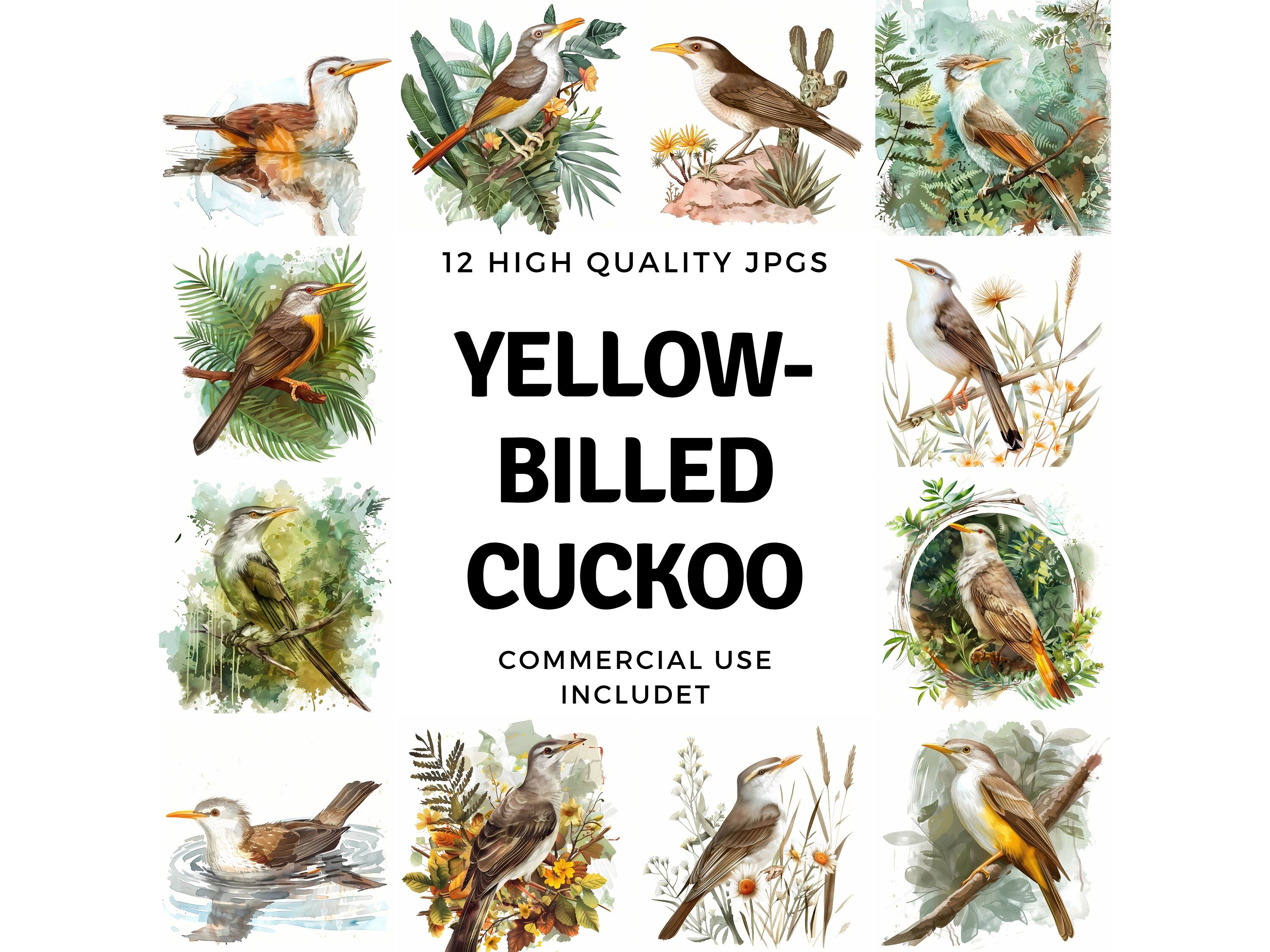 Yellow-billed Cuckoo Clipart 12 High Quality Jpgs Instant Download Card ...