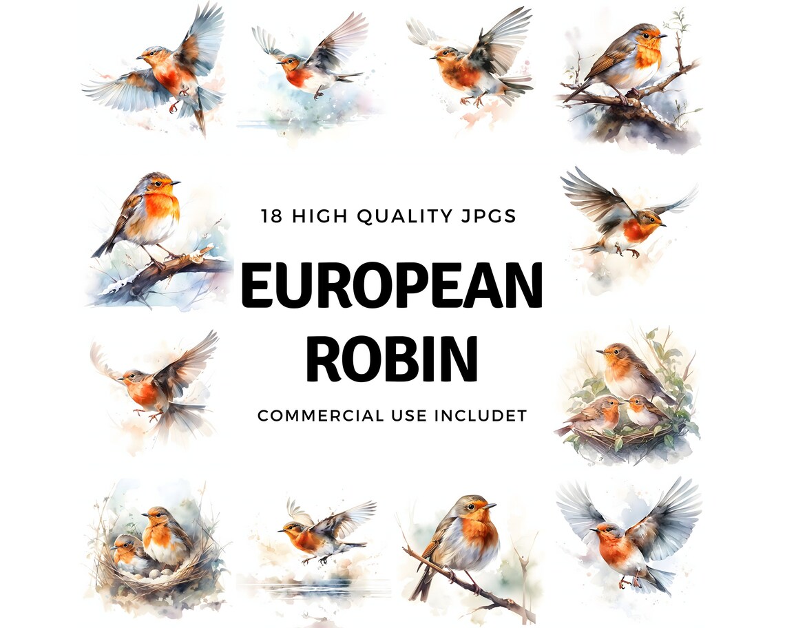 European Robin Clipart - 12 High Quality Jpgs - Instant Download - Card ...