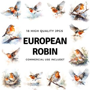 European Robin Clipart 12 High Quality Jpgs Instant Download Card ...