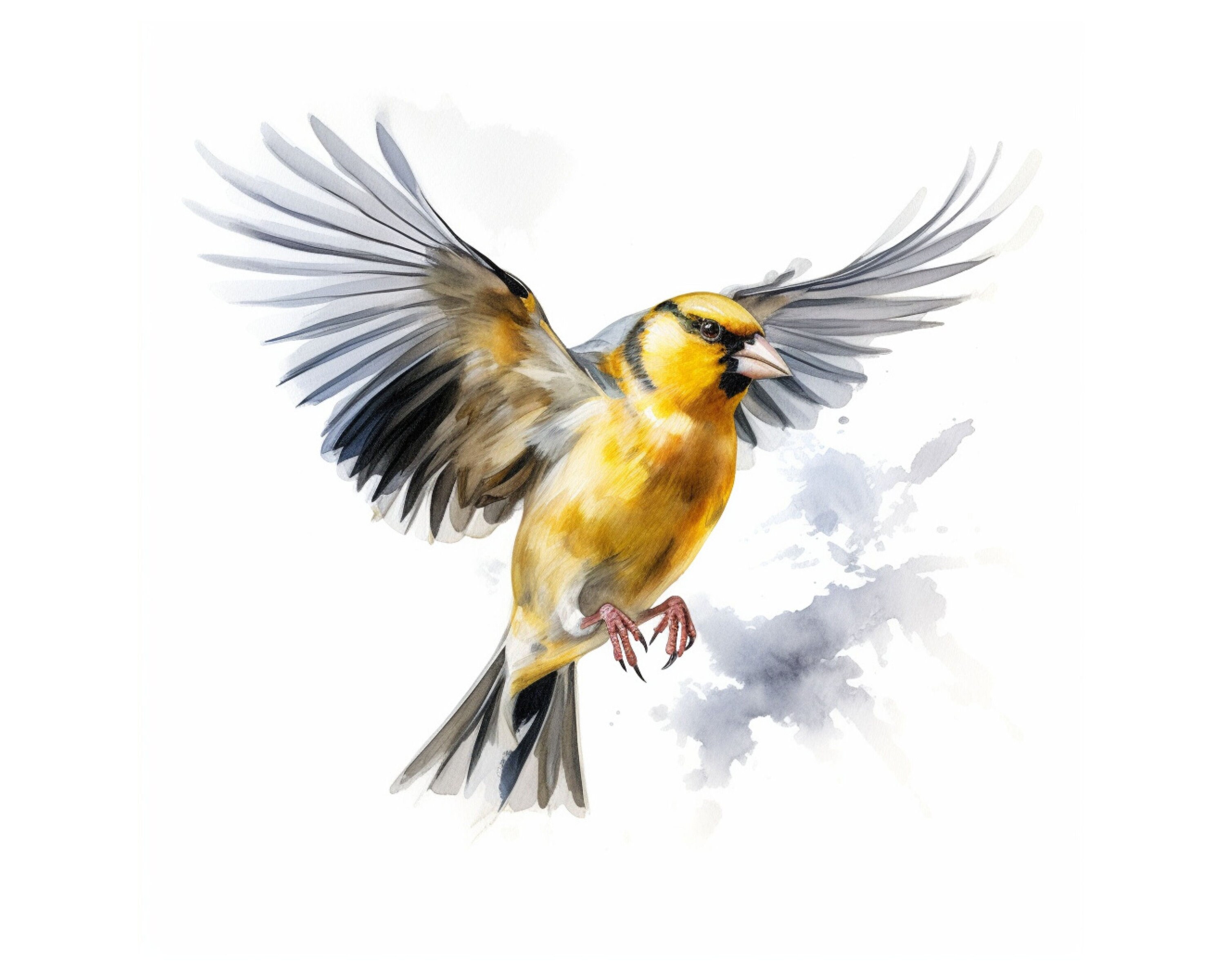 American Goldfinch Sitting on a Branch Watercolor Painting of a ...