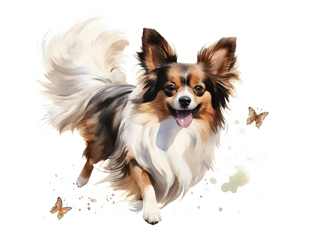 Happy Papillon Clipart - 12 High Quality Jpgs - Instant Download - Card ...