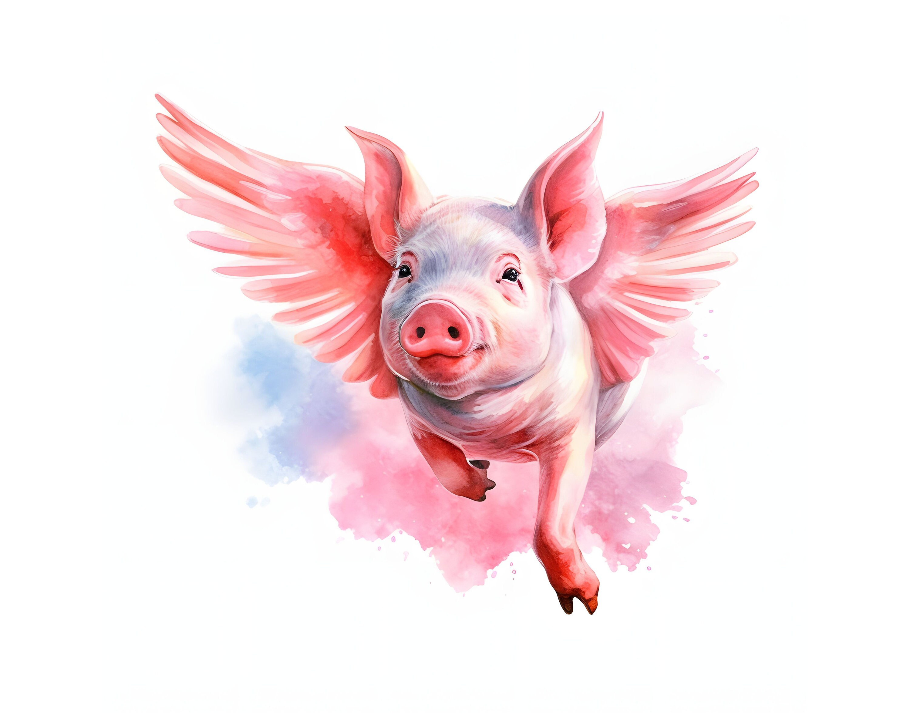 Flying Pink Pig Clipart - 12 High Quality Jpgs - Instant Download ...
