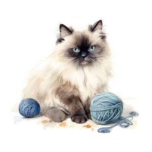 Watercolor Himalayan Cat Jumping Clipart Cat Sleeping for Scrapbooking ...