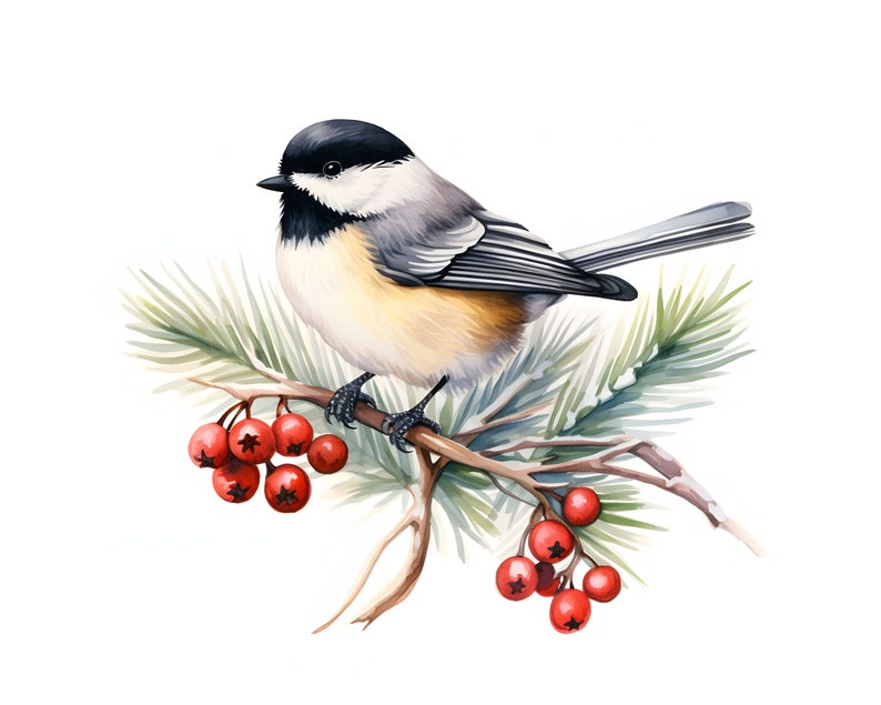 Snowy Black-capped Chickadee Clipart 12 Quality Jpgs Instant Download Card Making, Invitations ...