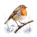 Snowy European Robins Clipart - 12 High Quality Jpgs - Instant Download ...