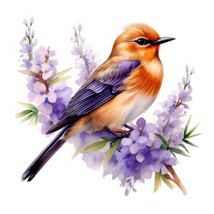 Floral Birds Clipart - 12 High Quality Jpgs - Instant Download - Card ...