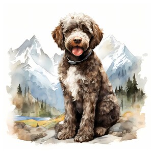 Lagotto Romagnolo Clipart 12 High Quality Jpgs Instant Download Card ...