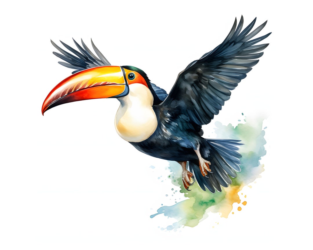 Toco Toucan Clipart - 12 High Quality Jpgs - Instant Download - Card ...
