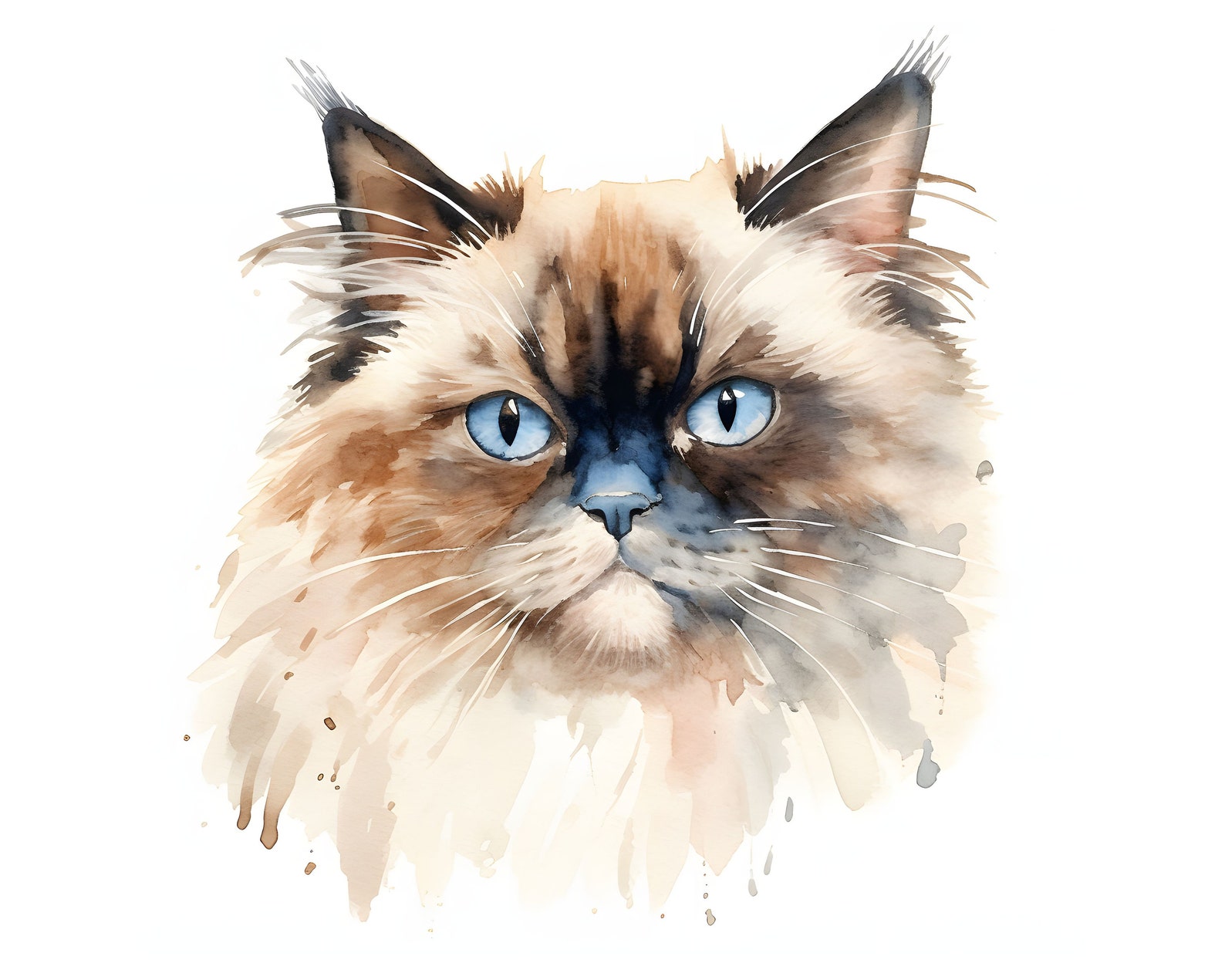 Watercolor Himalayan Cat Jumping Clipart Cat Sleeping for Scrapbooking ...