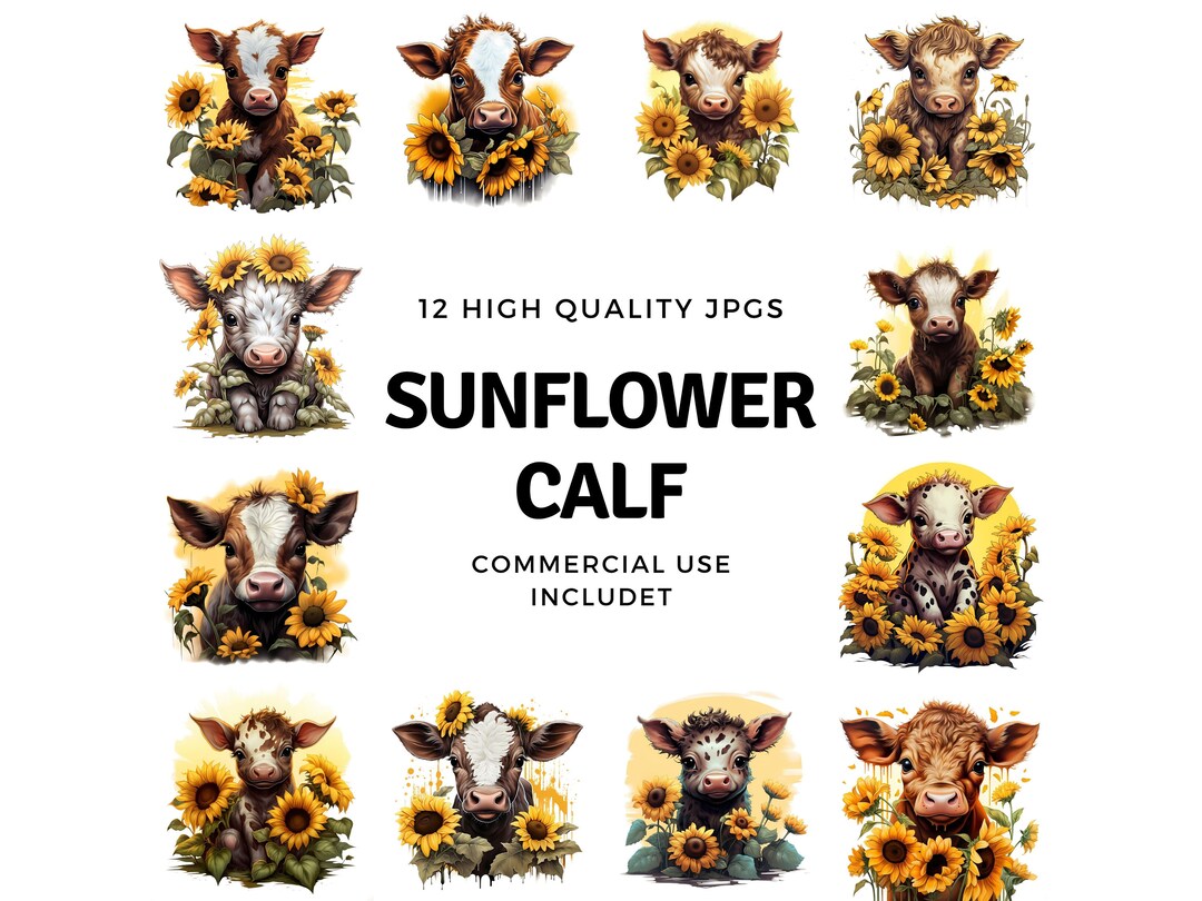 Sunflower Calv Clipart - 12 High Quality Jpgs - Instant Download - Card ...