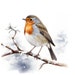 Snowy European Robins Clipart - 12 High Quality Jpgs - Instant Download ...