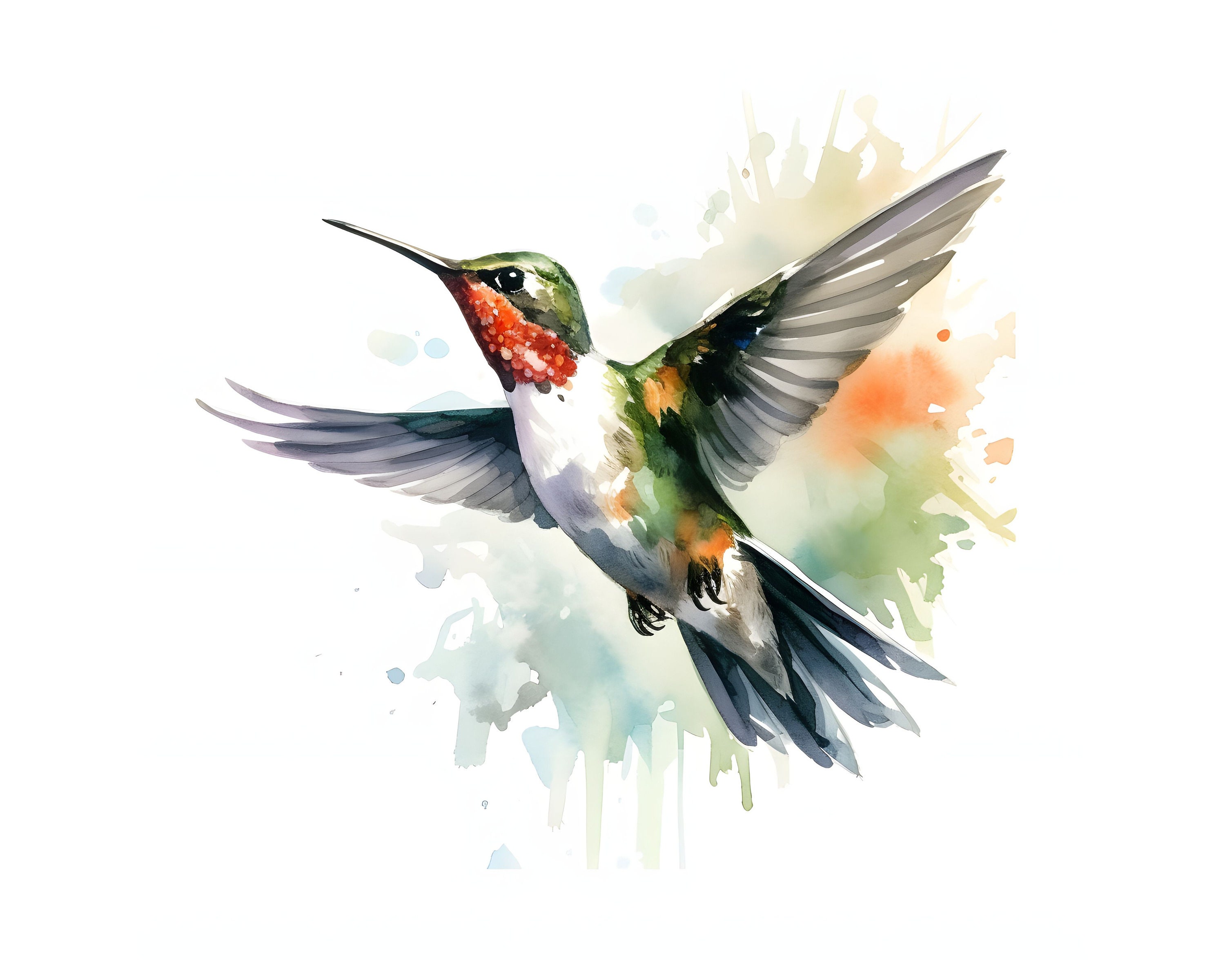 Ruby-throated Hummingbird Clipart - 12 High Quality Jpgs - Instant ...