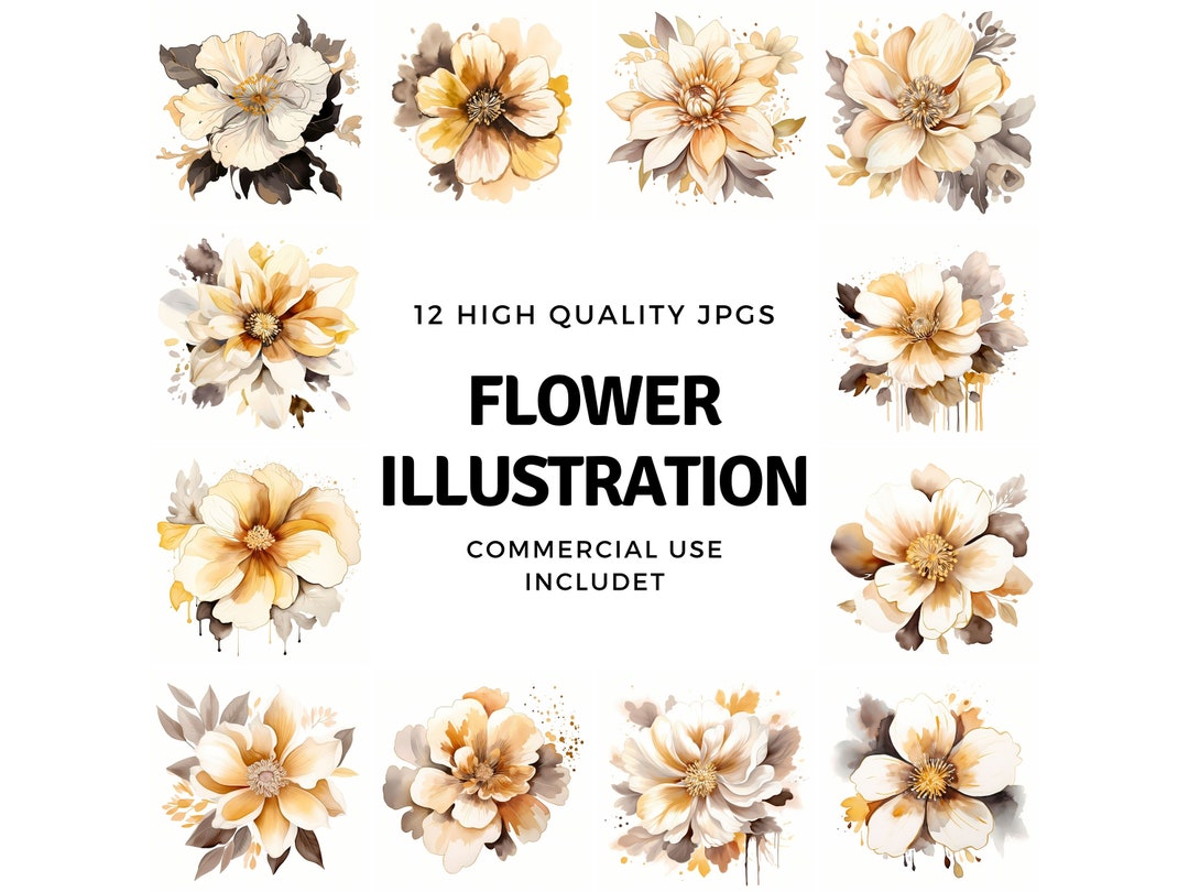 Flower Illustration Clipart - 12 High Quality Jpgs - Instant Download ...