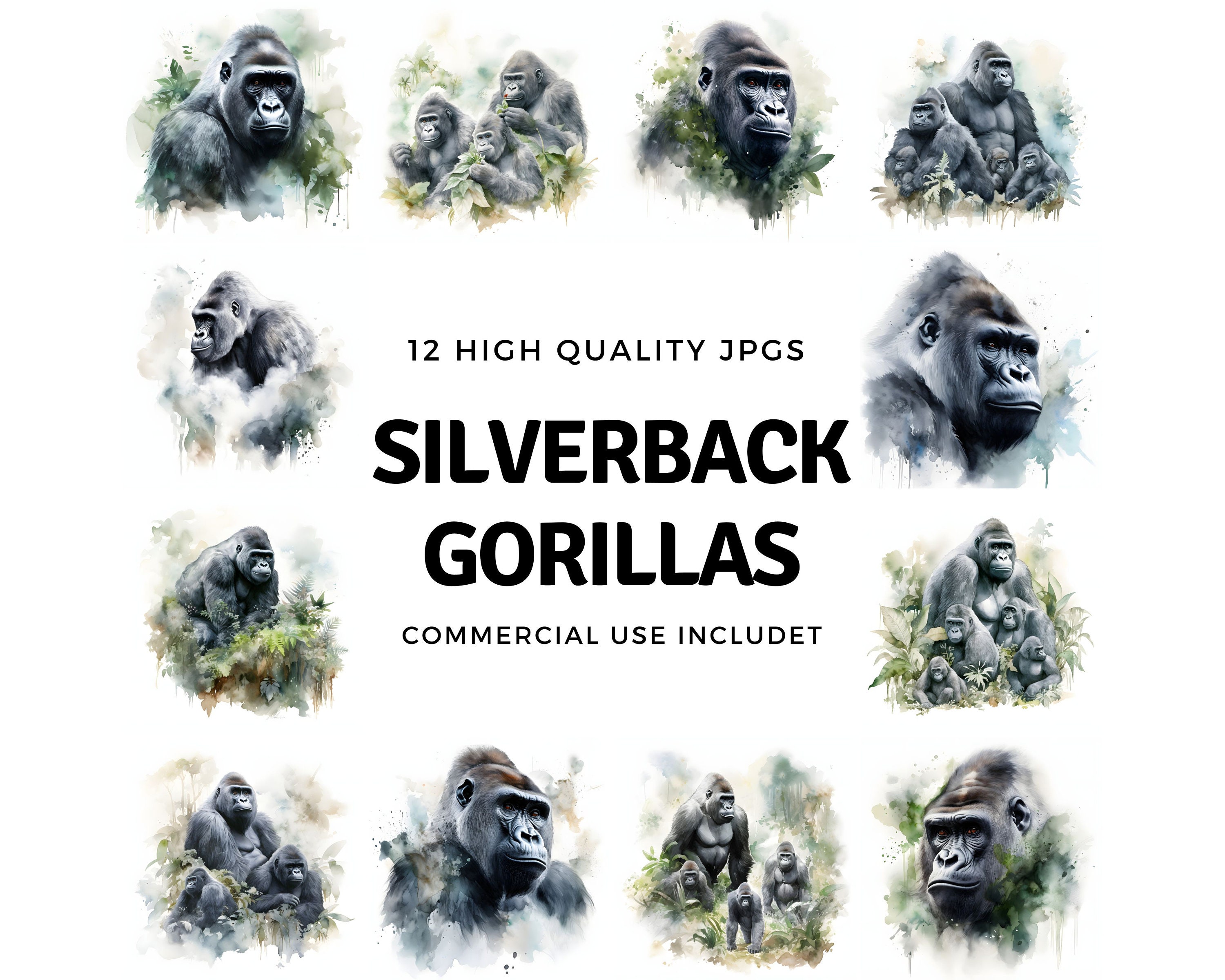 Silverback Gorilla Clipart 12 High Quality Jpgs Instant Download Card ...