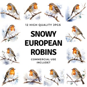 Snowy European Robins Clipart - 12 High Quality Jpgs - Instant Download ...