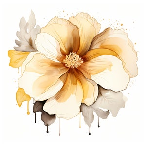 Flower Illustration Clipart - 12 High Quality Jpgs - Instant Download ...