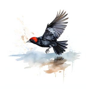 Red Winged Blackbird Sitting on a Branch Watercolor Red Winged ...