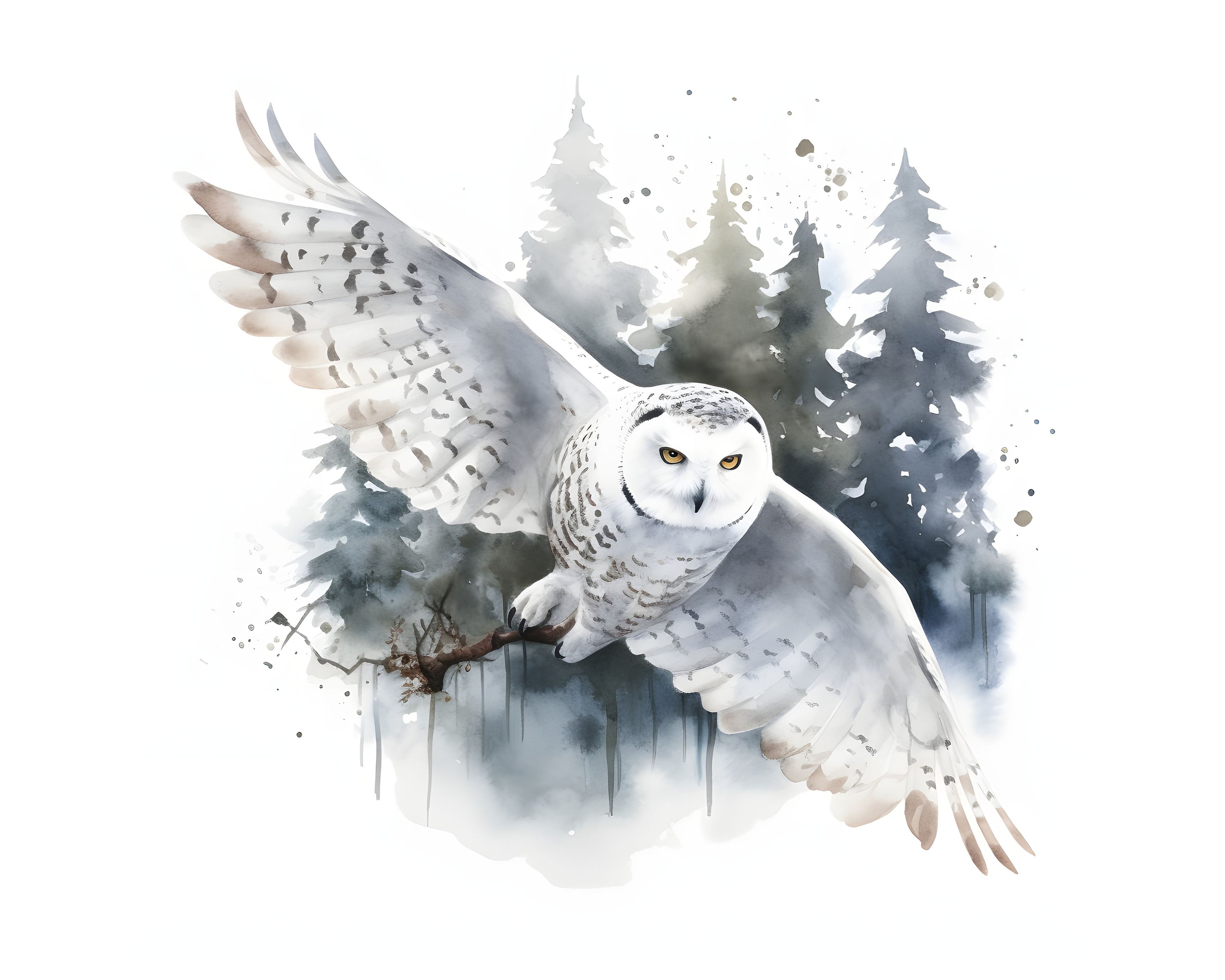 Snowy Owl Clipart 12 High Quality Jpgs Instant Download - Etsy