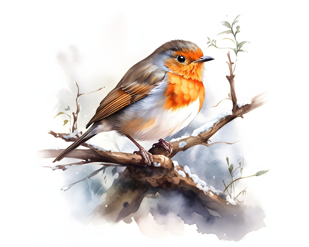 European Robin Clipart - 12 High Quality Jpgs - Instant Download - Card ...