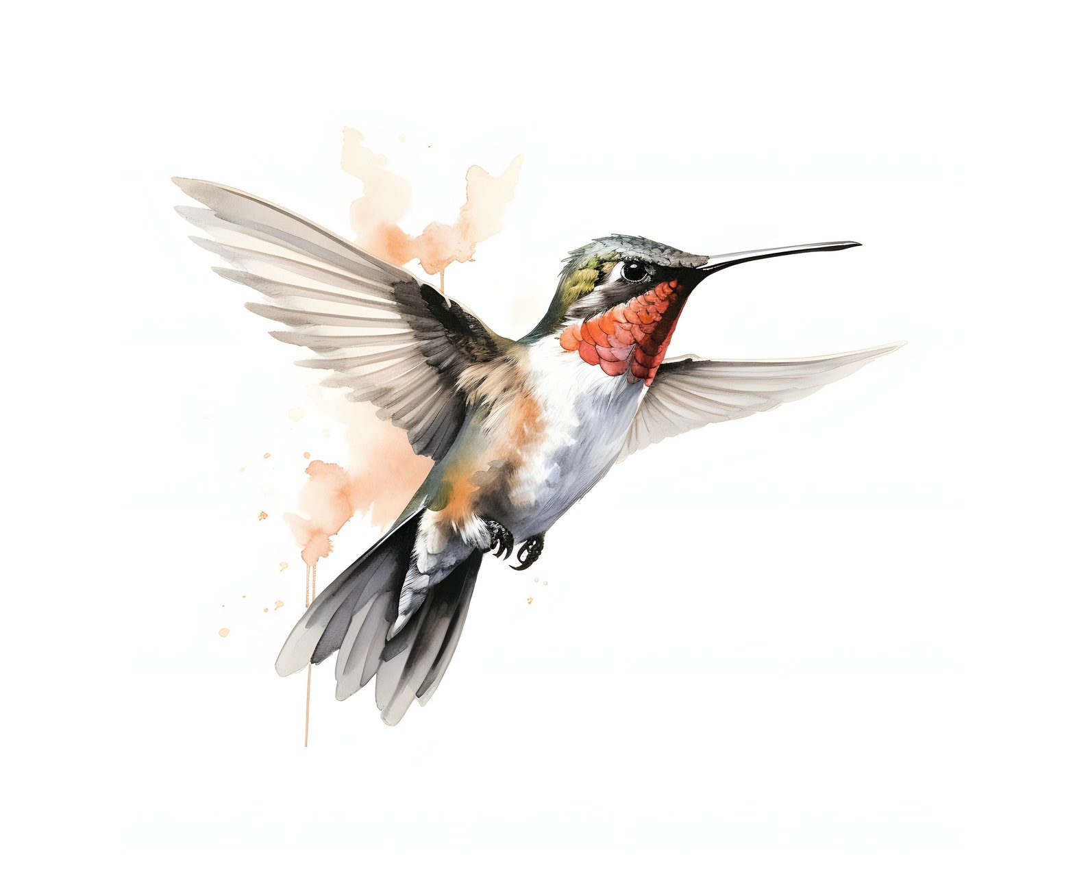 Ruby-throated Hummingbird Clipart - 12 High Quality Jpgs - Instant ...
