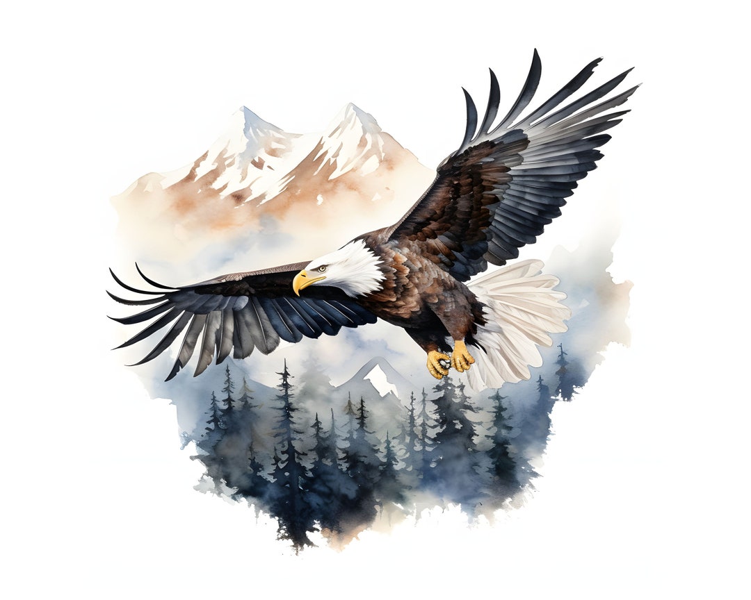 Watercolor Bald Eagle Clipart - 12 High Quality Jpgs - Instant Download ...