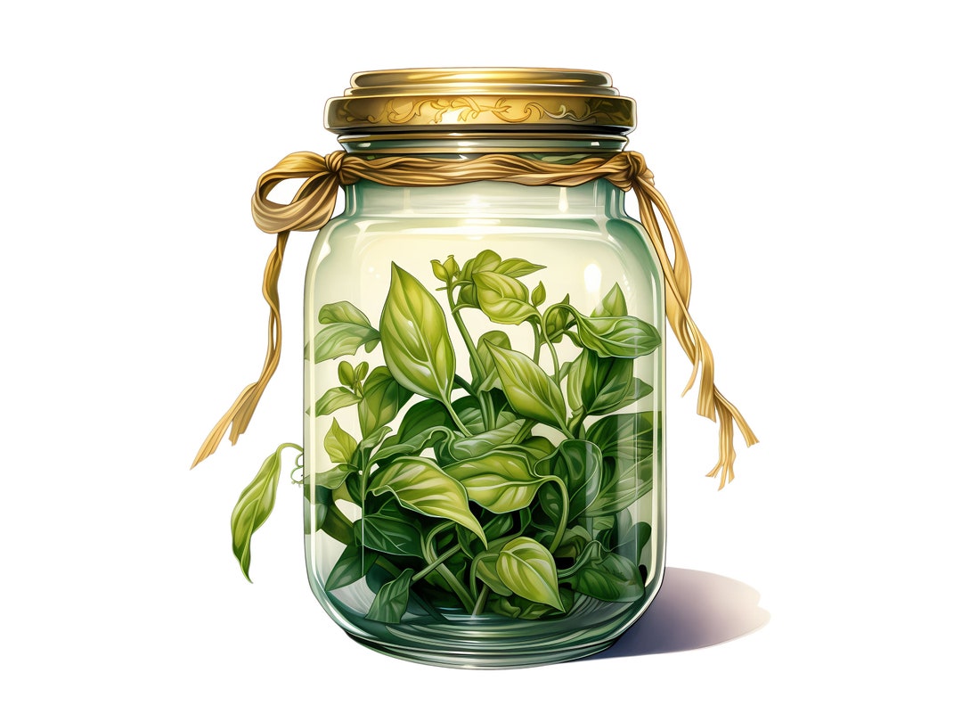 Basil in a Jar Clipart - 12 High Quality Jpgs - Instant Download - Card ...