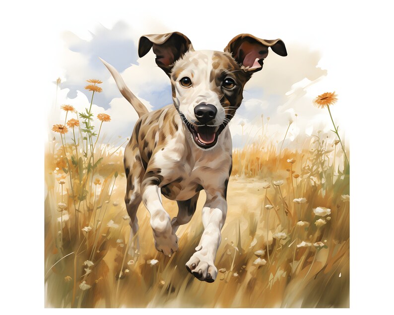 Whippet Puppies Clipart - 12 High Quality Jpgs - Instant Download ...