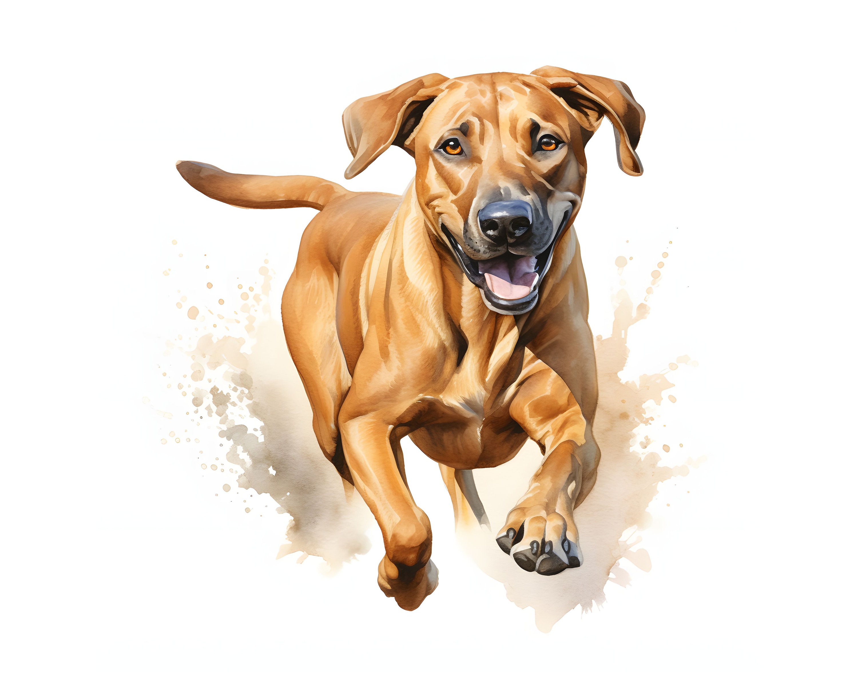 Rhodesian Ridgeback Clipart 12 High Quality Jpgs Instant - Etsy