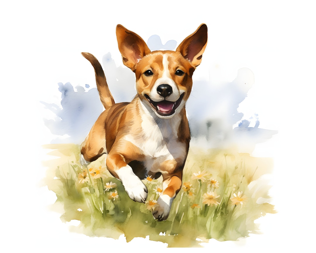 Basenji Puppy Clipart - 12 High Quality Jpgs - Instant Download - Card ...